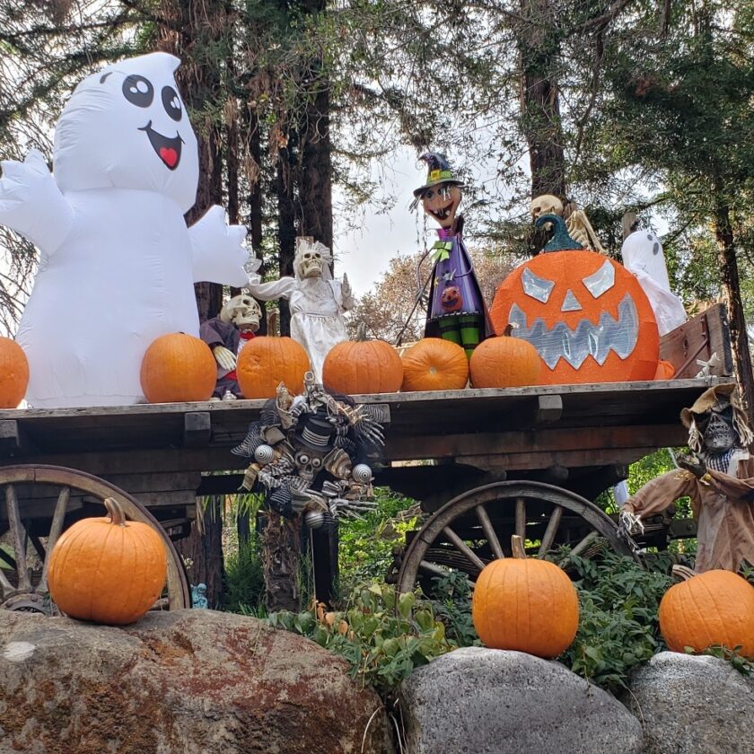 The Ghost Train and Hidden Tunnels in the Santa Cruz Mountains - San ...