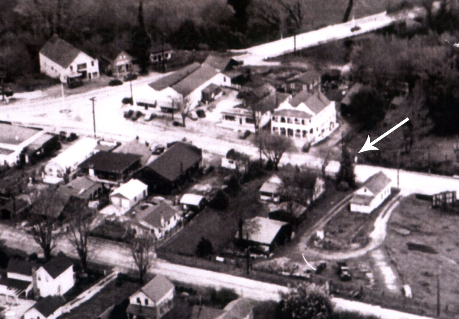 Streetwise: George Fetherston and the Felton Heritage Tree - San ...