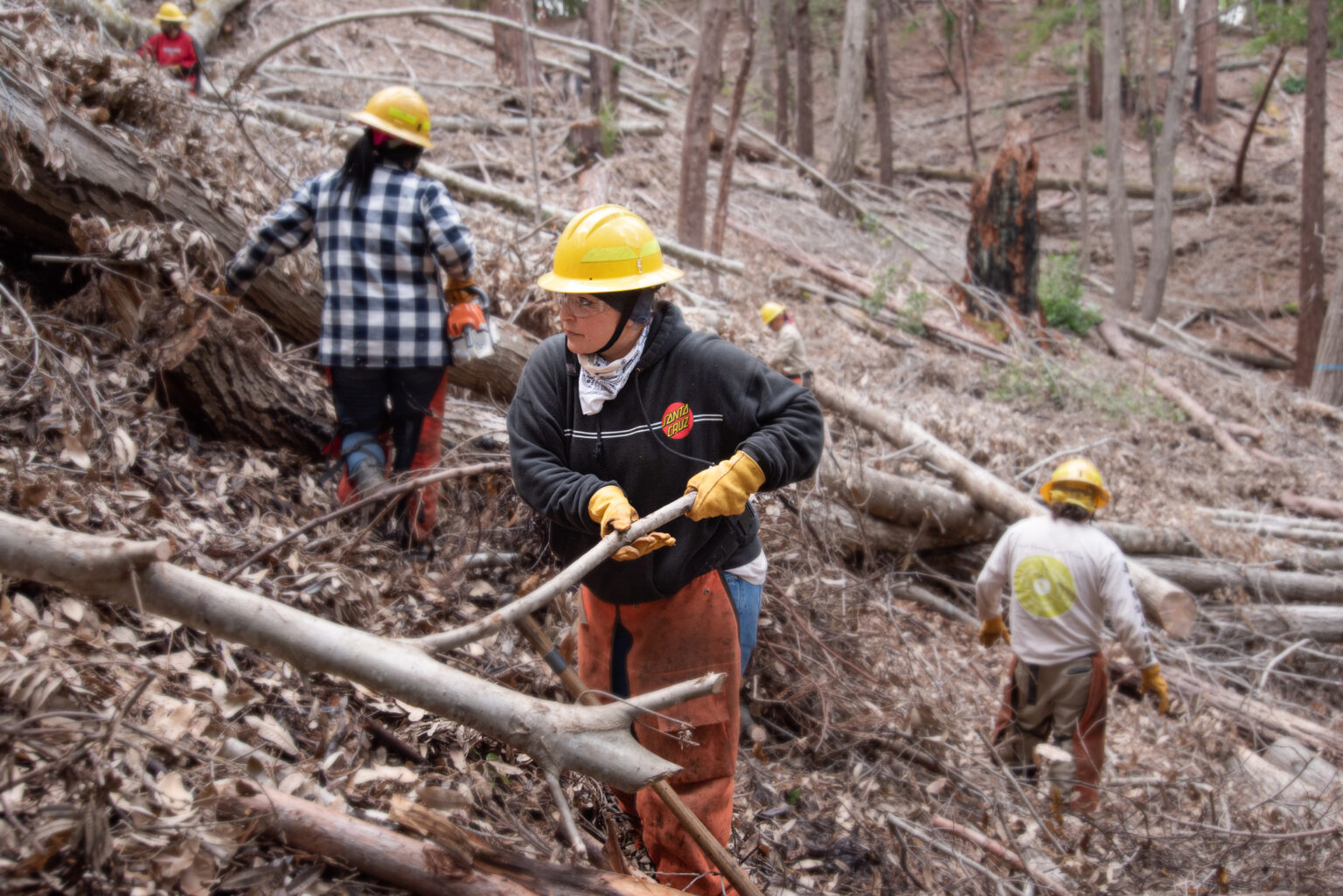 Amah Mutsun Tribal Band and the San Vicente Redwoods Preserve - San ...