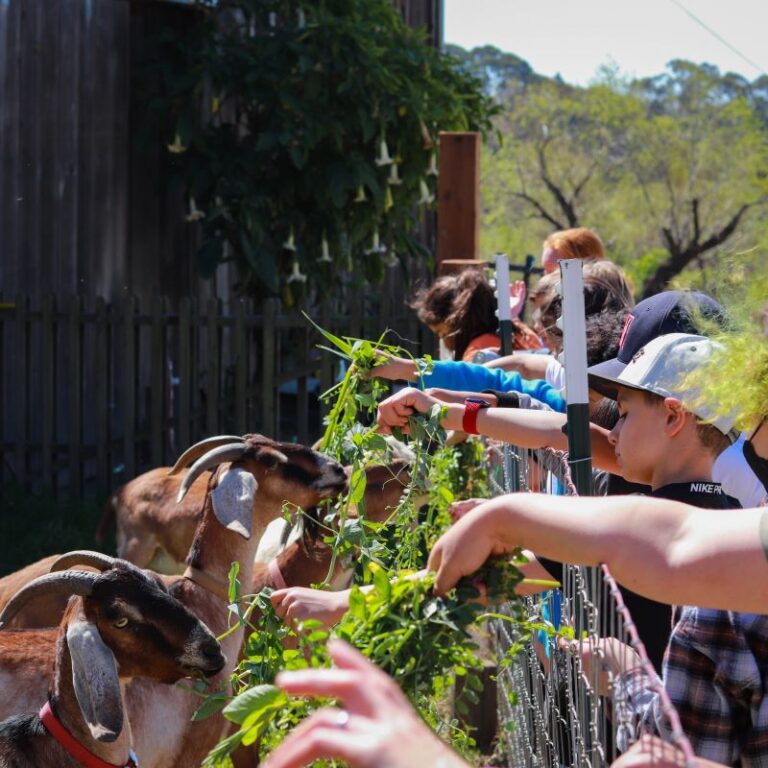 Gifts From the Land: A Visit to Pescadero’s Pie Ranch - San Lorenzo ...