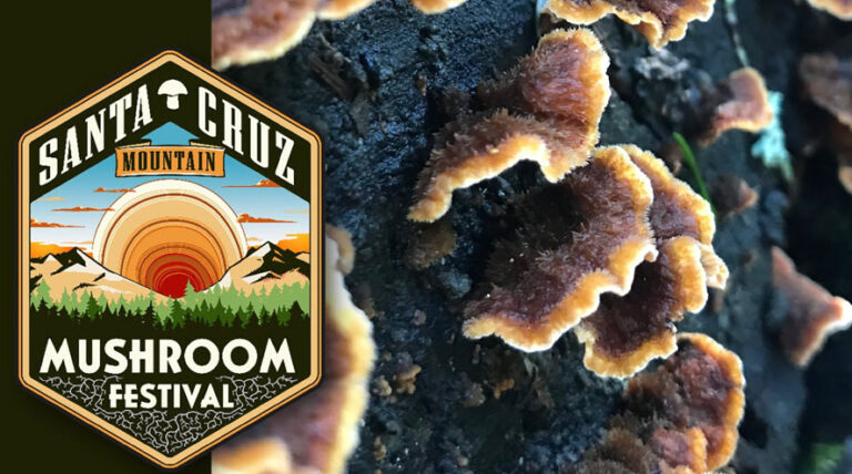 First Annual Santa Cruz Mountain Mushroom Festival at Roaring Camp ...
